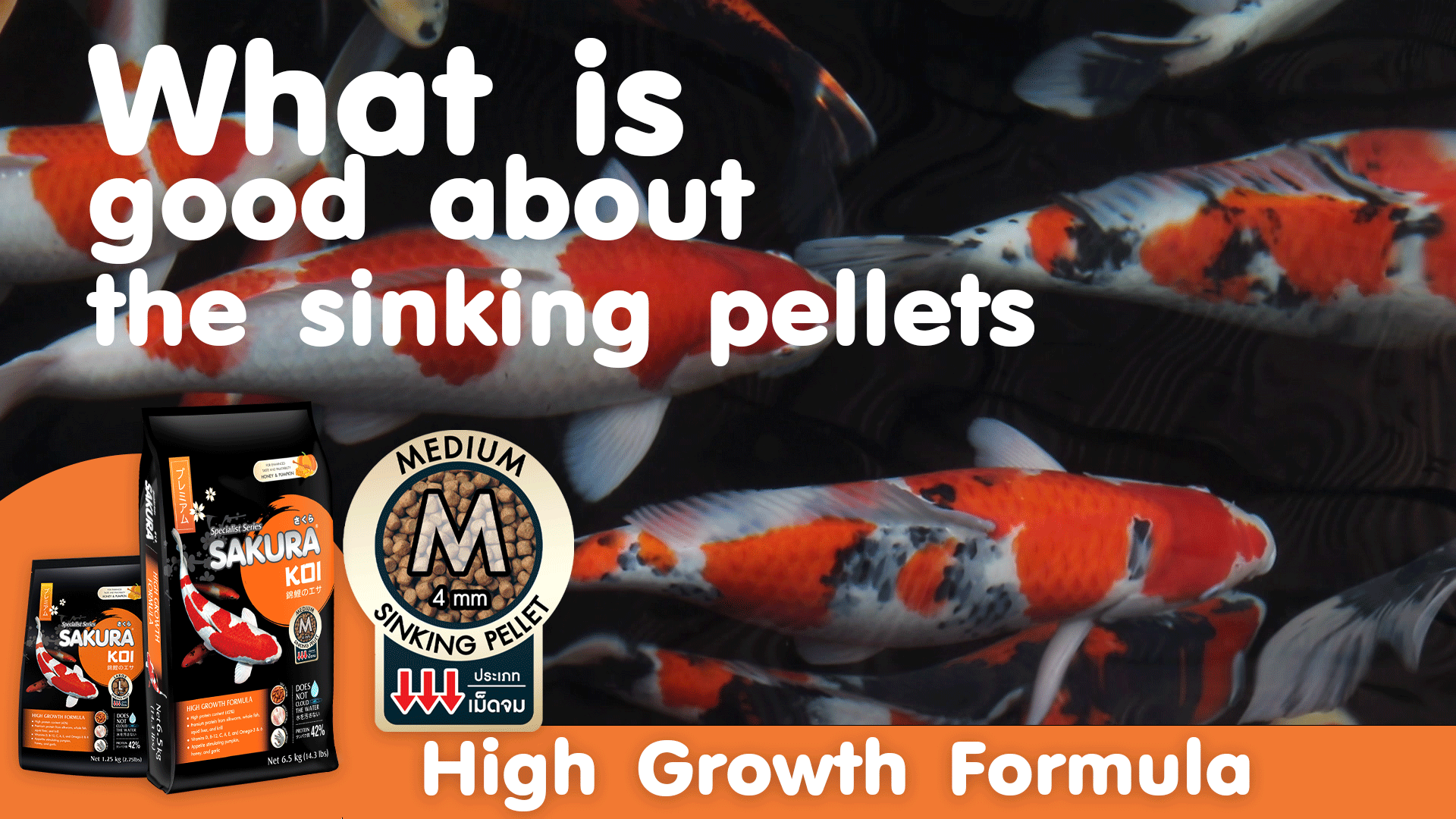 Sakura Koi High Growth Sinking อาหารปลาคาร์ฟเม็ดจม สูตรเร่งโต What is ...